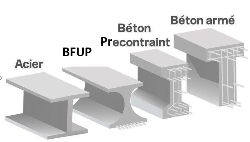 Comprendre les BFUP - Ecole Française du Béton